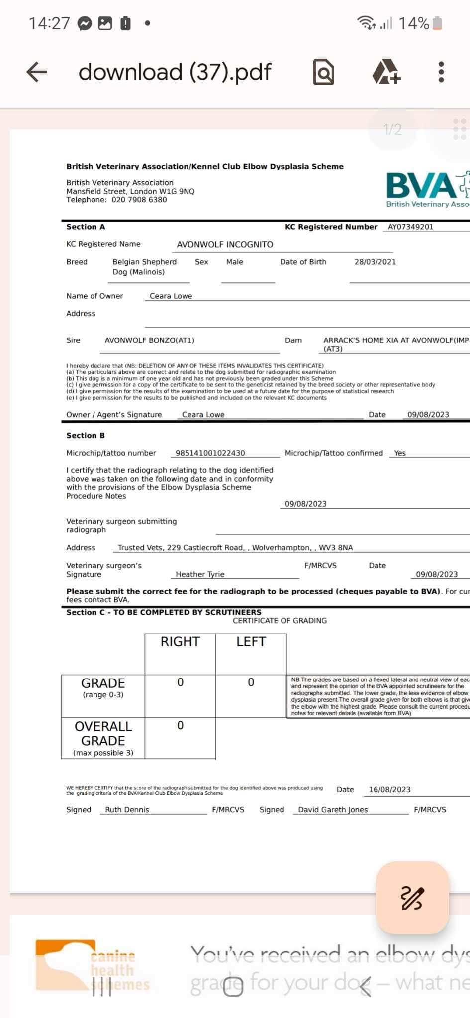 Avonwolf Incognito BVA results – Avonwolf